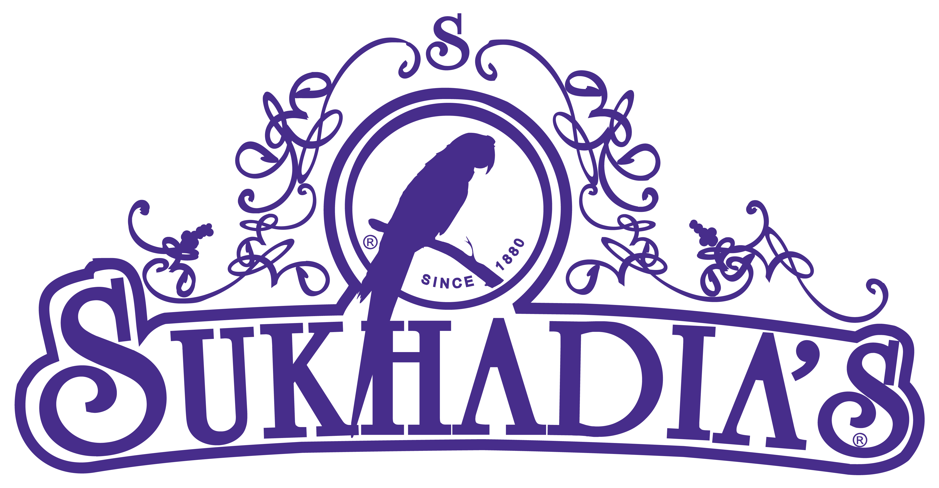 Jalebis – Sukhadia's